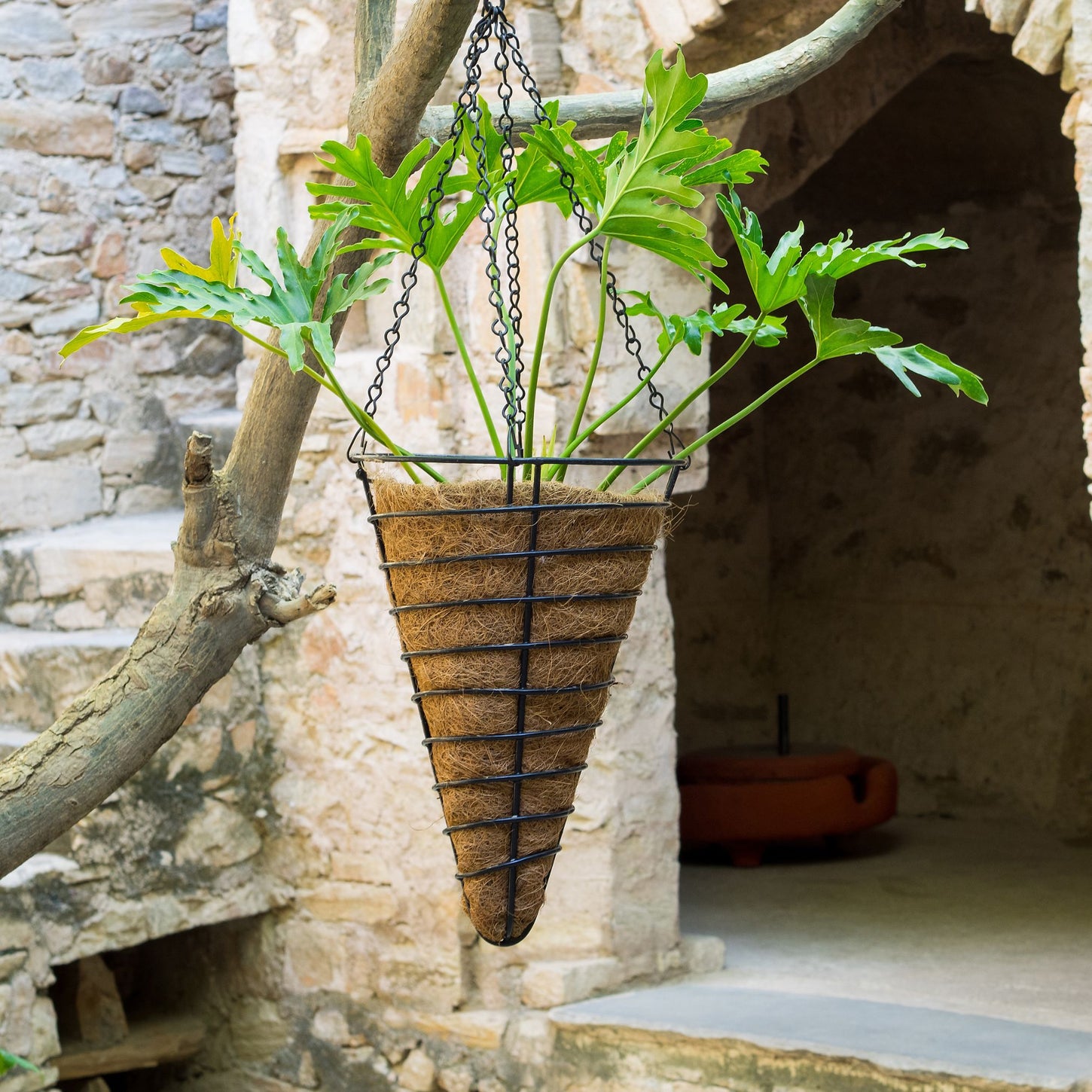 Hanging Baskets – Earth Garden