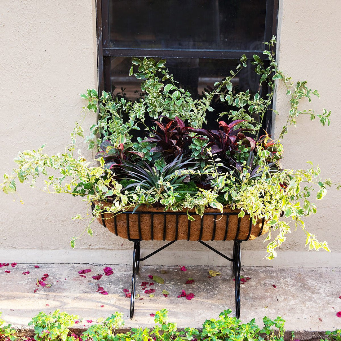 Indoor & Outdoor Cradle Planter for Plants (Coco-Liners) | EarthGarden ...