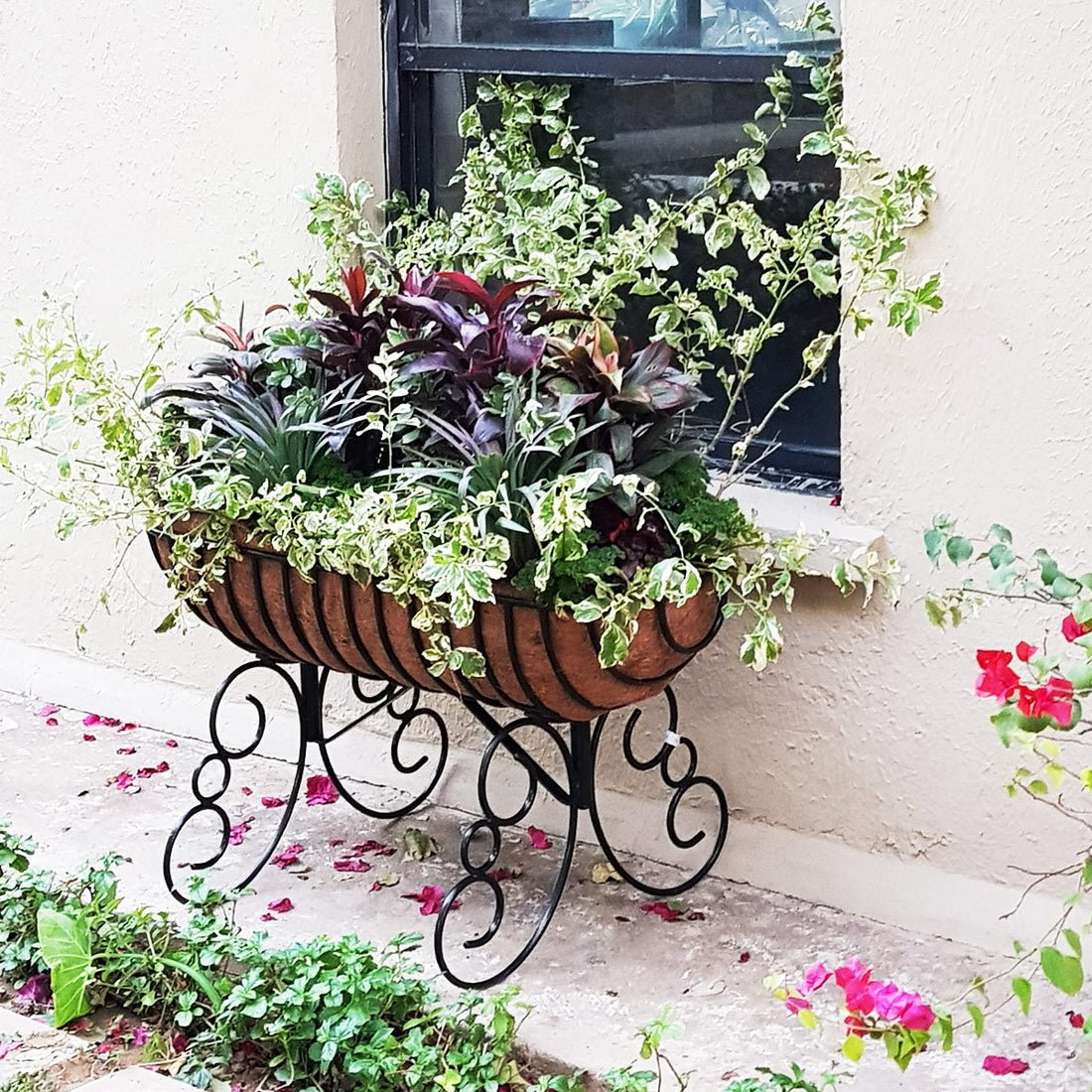 Indoor & Outdoor Cradle Planter for Plants (Coco-Liners) | EarthGarden ...