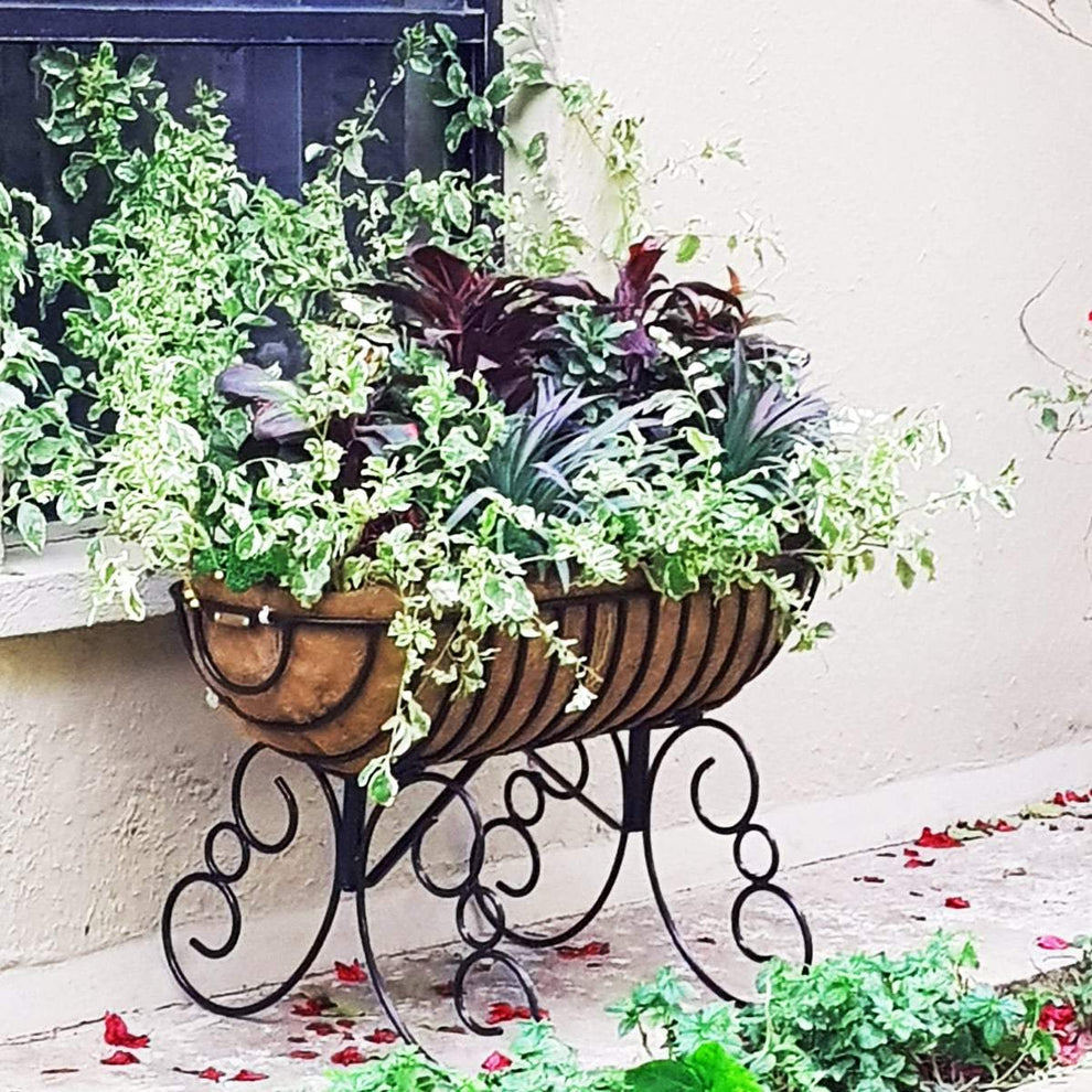 Indoor & Outdoor Cradle Planter for Plants (Coco-Liners) | EarthGarden ...