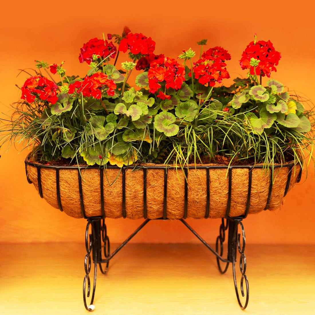 Indoor & Outdoor Cradle Planter for Plants (Coco-Liners) | EarthGarden ...