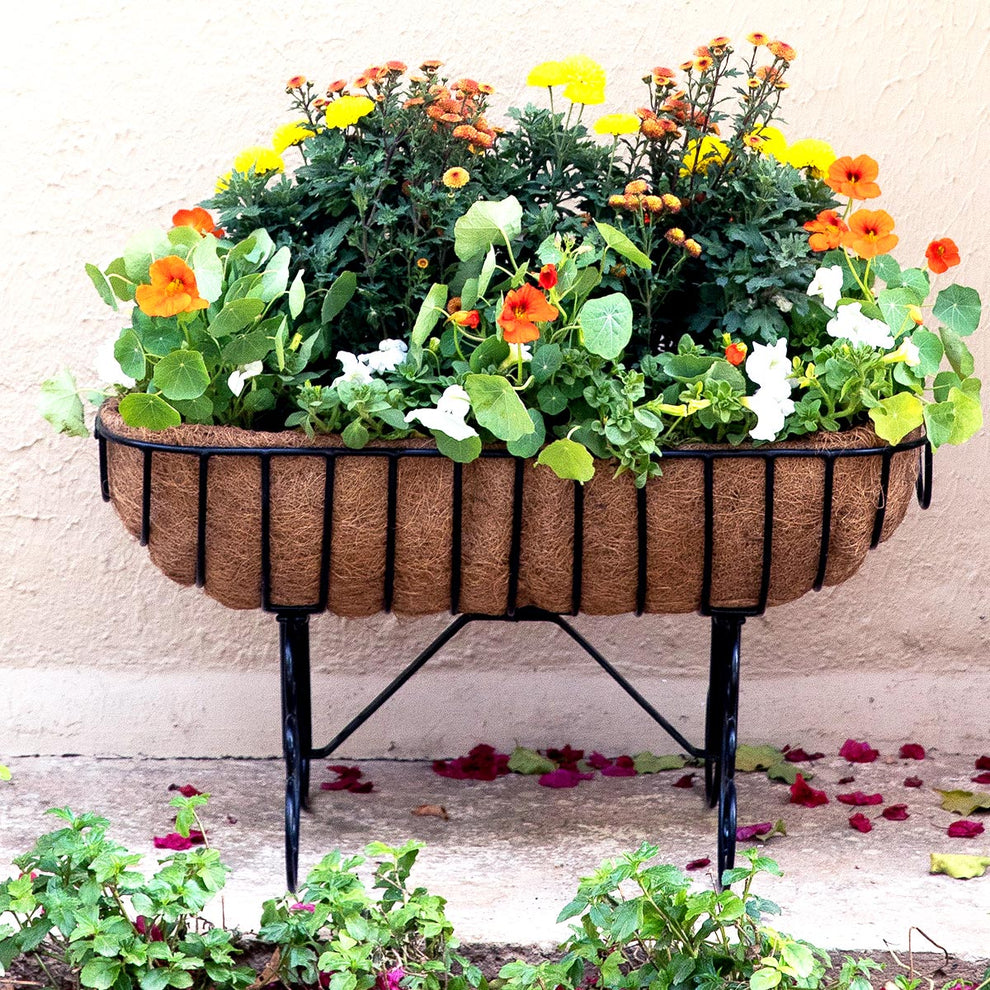 Indoor & Outdoor Cradle Planter for Plants (Coco-Liners) | EarthGarden ...