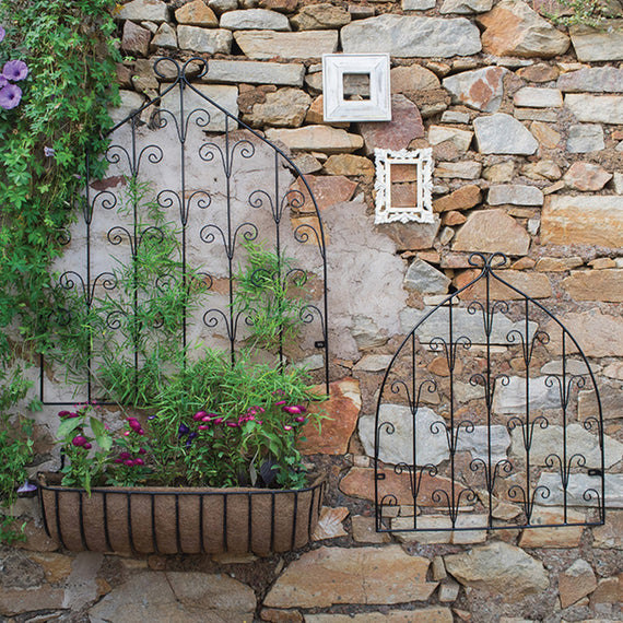 Buy Wall Mounted Trellis for Garden Online | EarthGarden