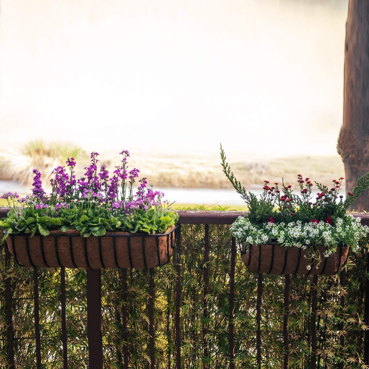 Traditional Window Box Hayrack Planter for Plants | EarthGarden
